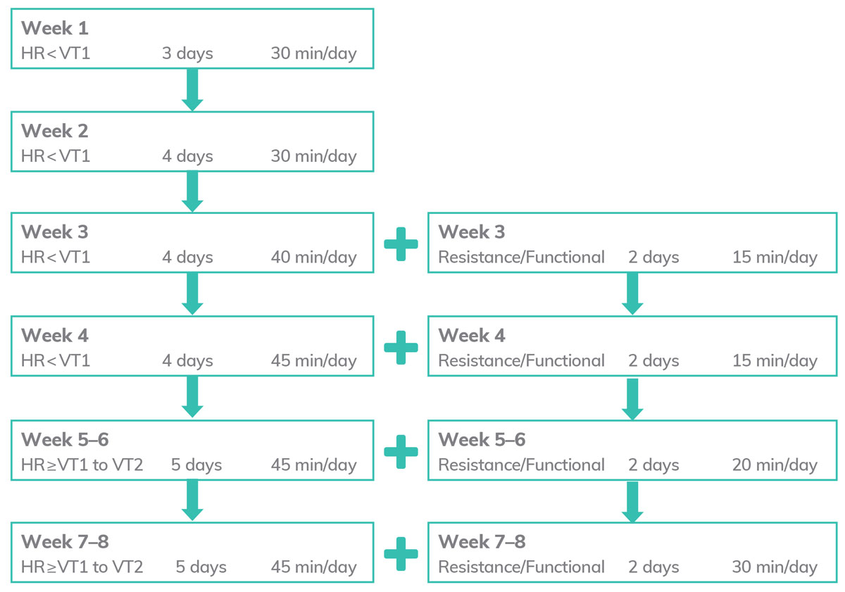ACE - Certified™: Special Research Issue - Do Younger and Older Adults ...