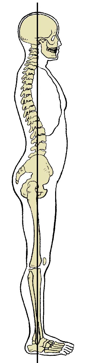 ACE - Certified™: March 2018 - How to Teach Your Clients to Practice ...