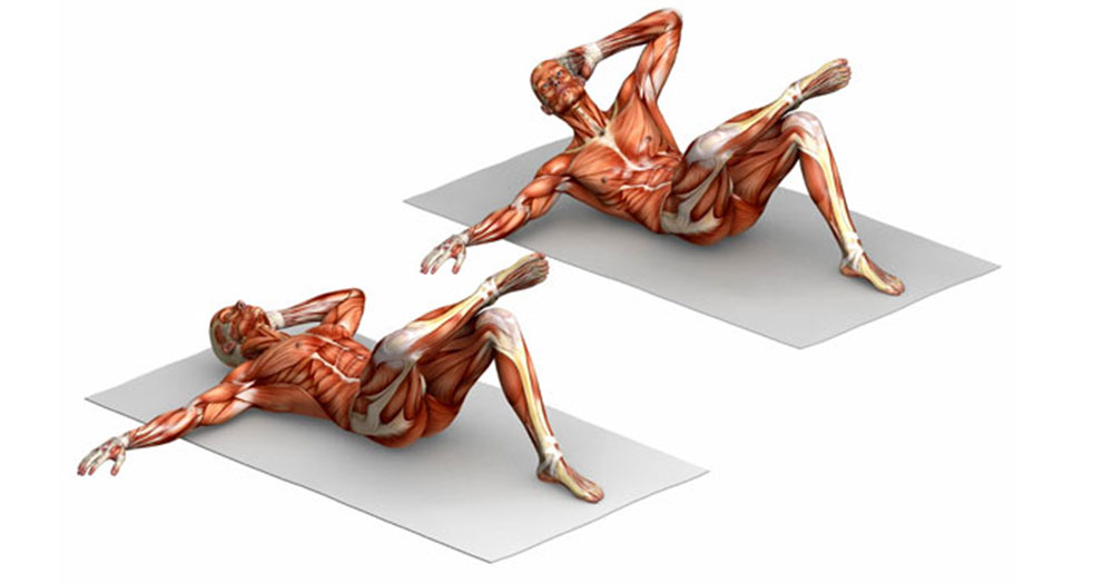 Muscle Fibers: 10 Things to Know About Them