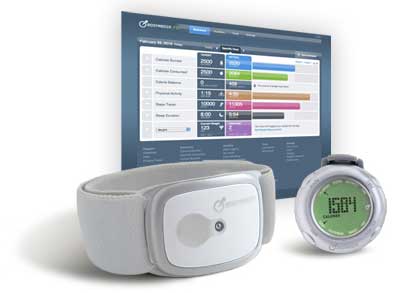 BodyMedia Armband: On-Body Monitoring System For Weight Loss