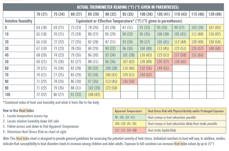Considerations for Exercising in the Heat